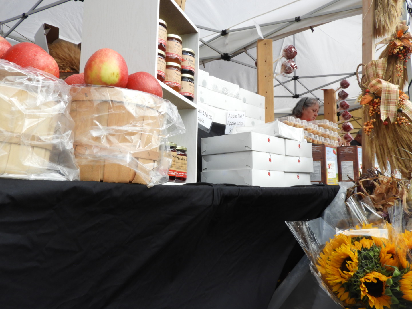 PHOTOS: 44th Brighton Applefest | Quinte News